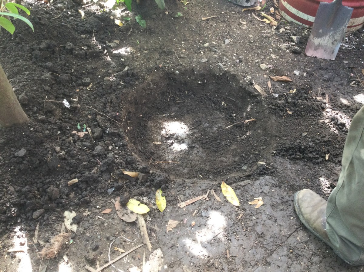 8 Shipping Container Foundation and Footing Options – 4 Walls Overnight