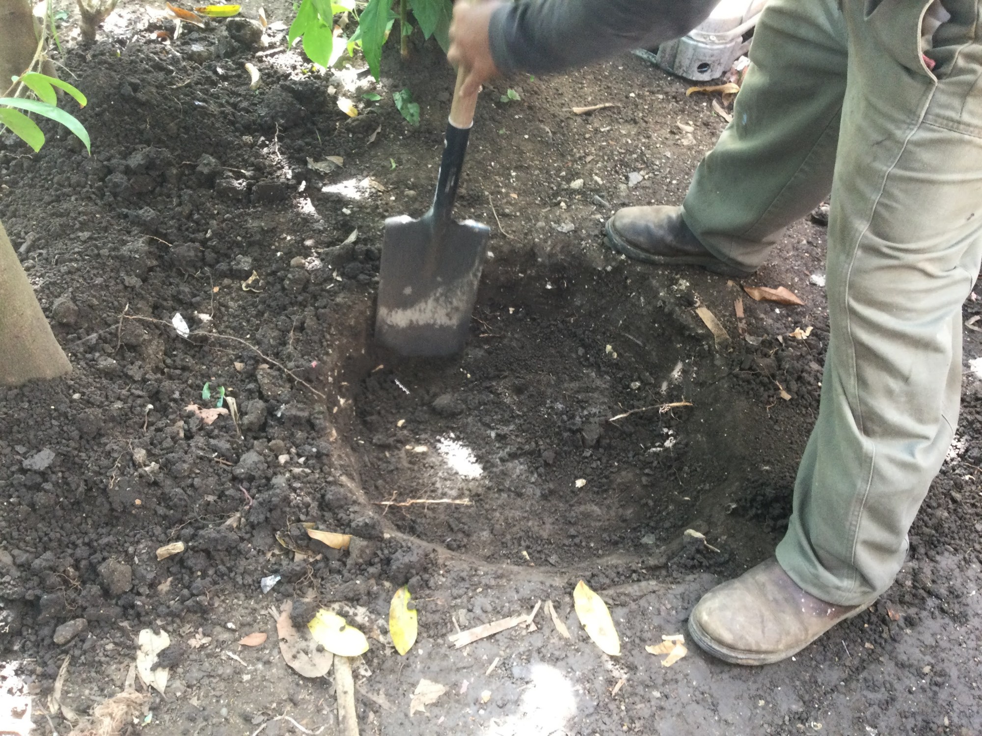 8 Shipping Container Foundation and Footing Options – 4 Walls Overnight